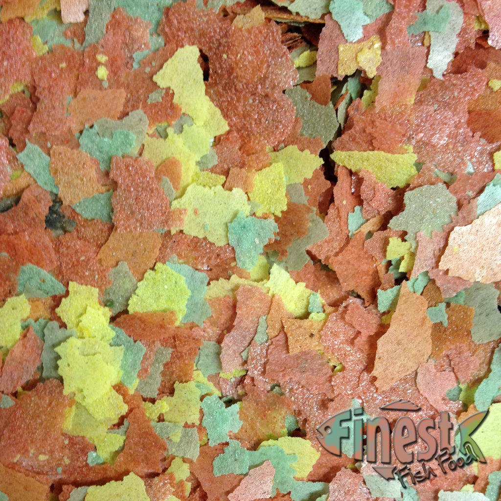 40g Cold Water Flake Food – Finest Fish Food